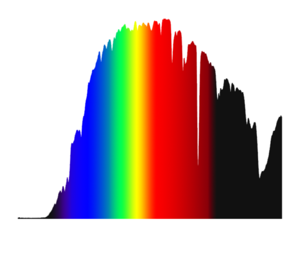 entoquip light - LED UV Blacklight for Collecting Insects